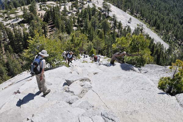 Half Dome - Timberline Trails